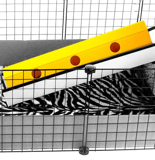 CCCages Coroplast® Ramp Cover | Guinea Pig Habitat | C&C Cages – Guinea ...